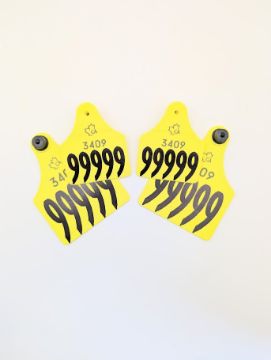 CCIA Webstore. Allflex